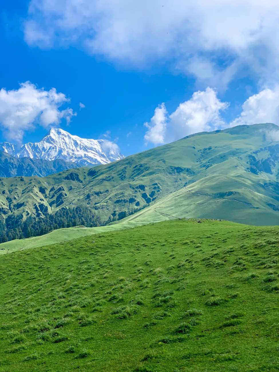 Ali Bedni Bugyal Trek Itinerary (6 Days) | Rishikesh to Lohajung ...